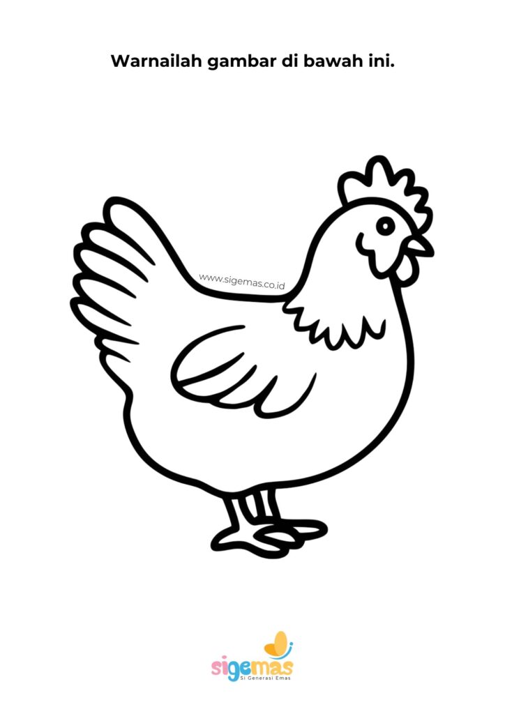 Mewarnai Gambar Binatang Ayam - Sigemas