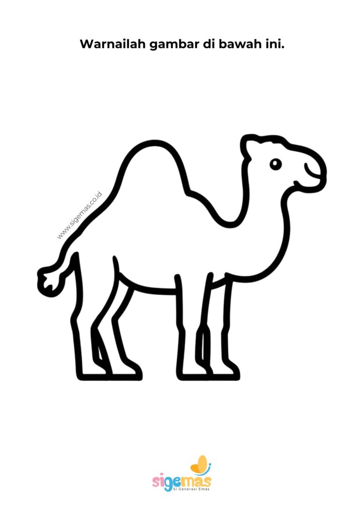 Mewarnai Gambar Binatang Unta - Sigemas